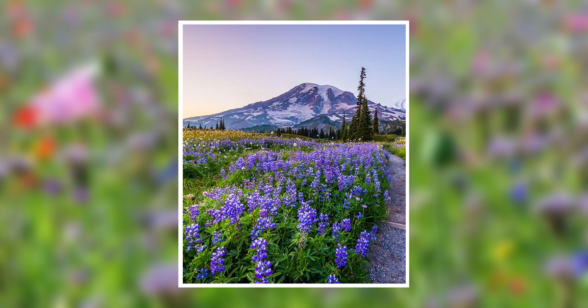 Ida Keushgenian Obituary January 2, 2026 - Mangano Family Funeral Homes ...