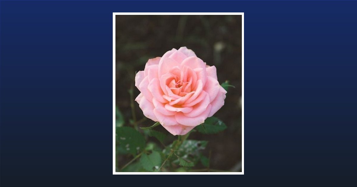 Patricia Alphin Obituary January 19, 2020 - Chamberlain Chapel