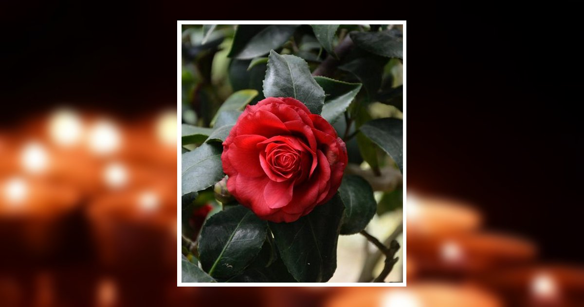 Trevor Lynn Sapp Obituary January 4, 2026 - Bagnell & Son Funeral Home