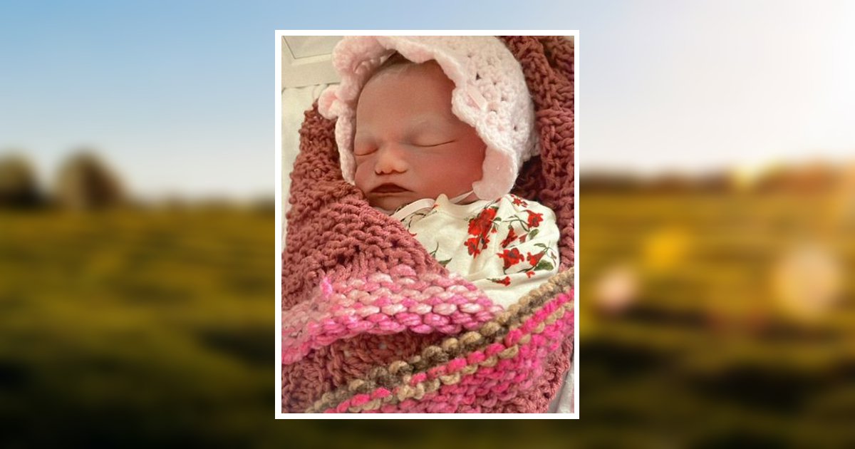 Piper Aspen Brooke Randolph Obituary February 8, 2023 - Sanders Funeral ...