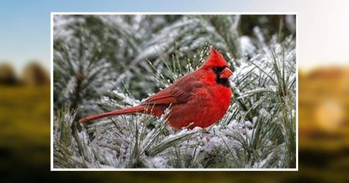 Mary Jane Ritter Obituary December 2, 2021 - Wichmann Funeral Homes