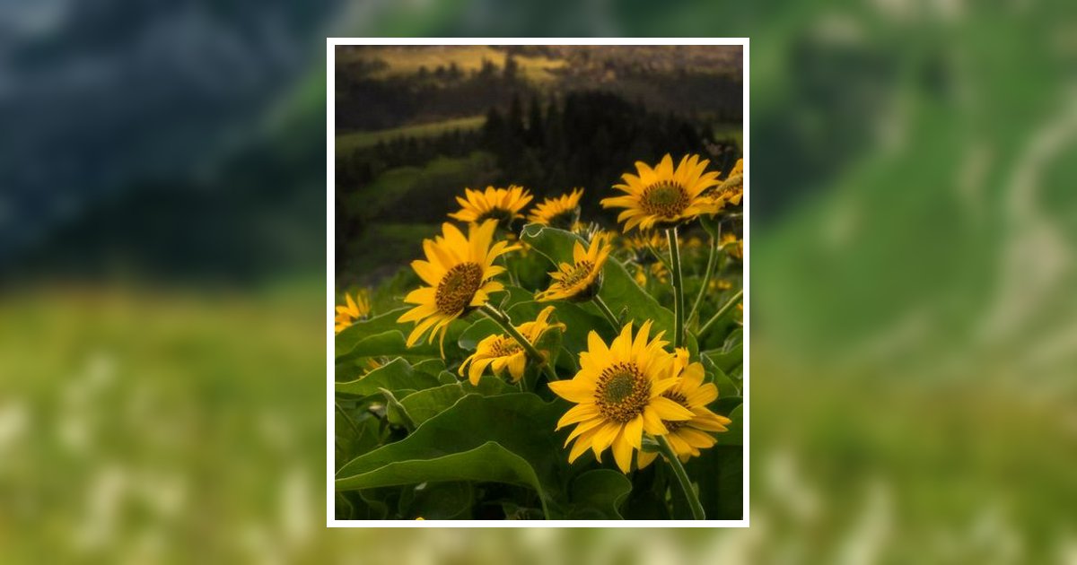 Judith Andrea Toth Obituary March 6, 2025 - Ingram Funeral Home & Crematory