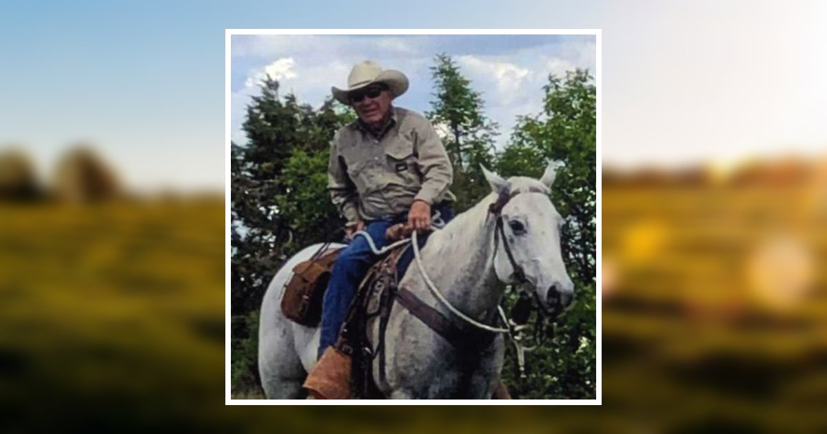 Richard Jambor Obituary May 24, 2020 - Stevenson Funeral Homes