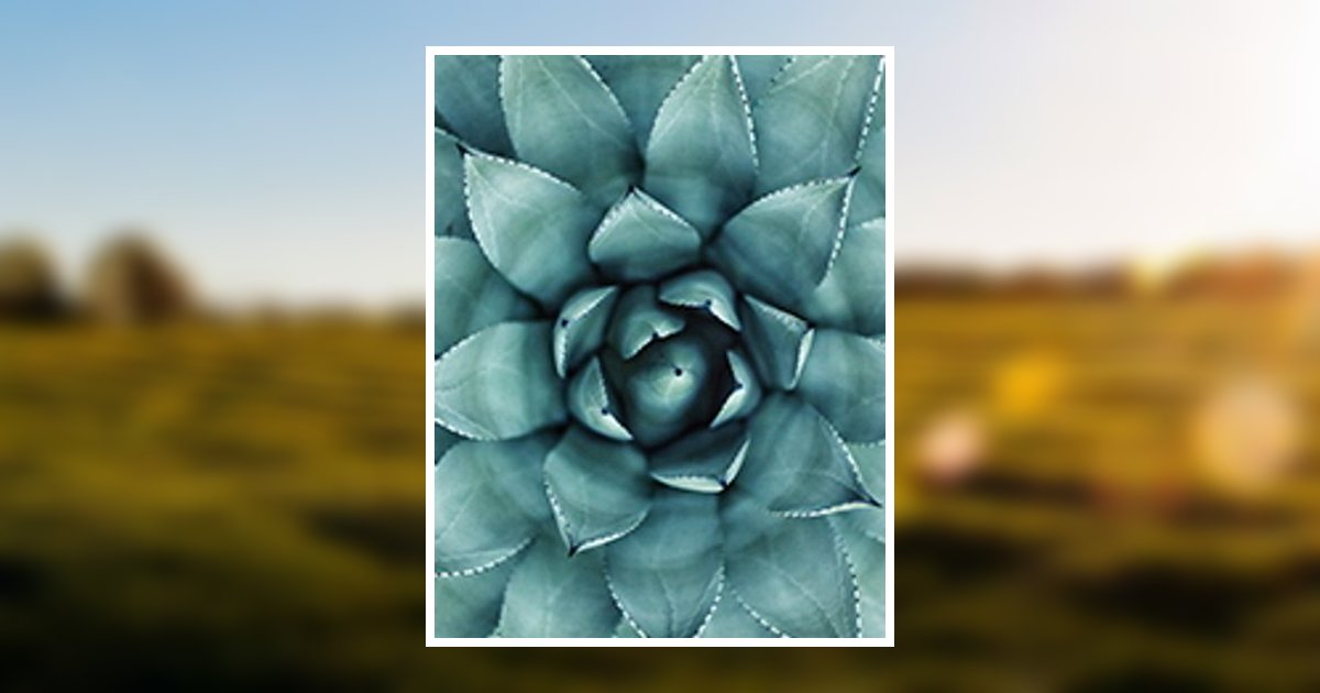 Kenneth Ray Butler Obituary May 1, 2018 - Good Shepherd Funeral ...