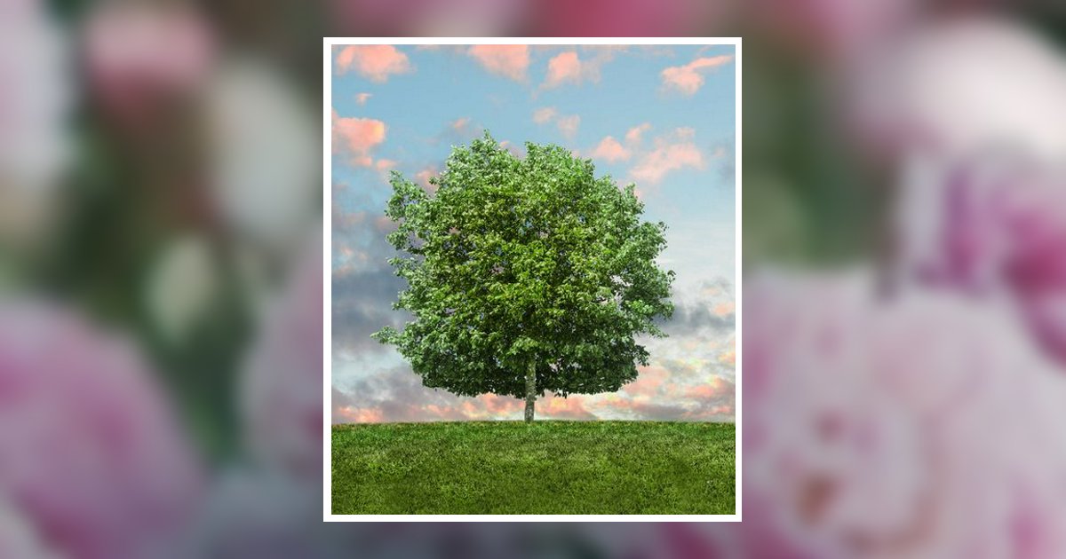 Anna C. "Ann" Reedy Obituary - Conroy Funeral Home