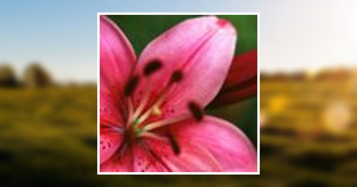 David Cappa Obituary May 5, 2018 - The Lake Funeral Home and Crematory