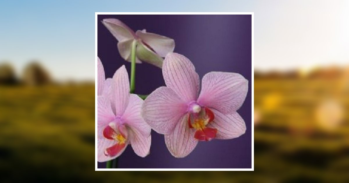 Peggy Burton Obituary April 4, 2017 - Steed-Todd Funeral Home