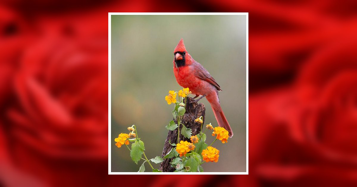 Mary LaRue Manier Obituary September 3, 2025 - Green Funeral Home