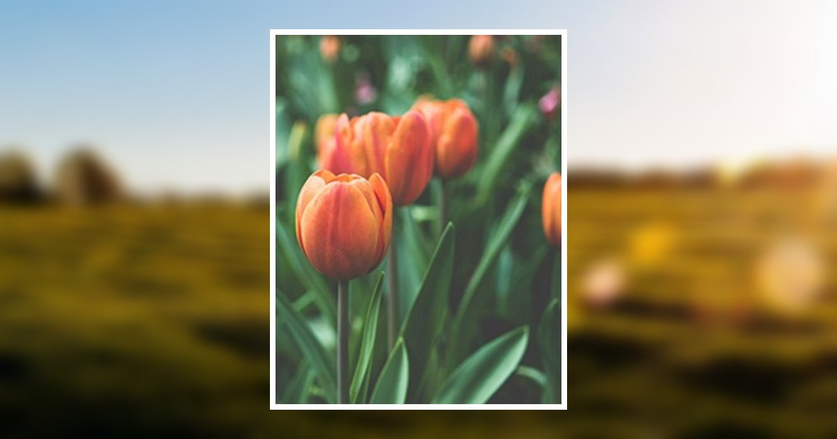 Sandra Snider Obituary 2023 - Steele Chapel Longview Memorial Park and ... Sandra Snider Obituary 2023 - Steele Chapel Longview Memorial Park and ...