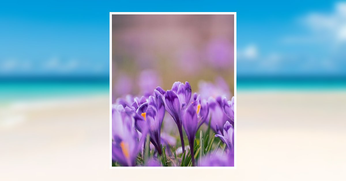 Thomas Moore Obituary - Newcomer Casper