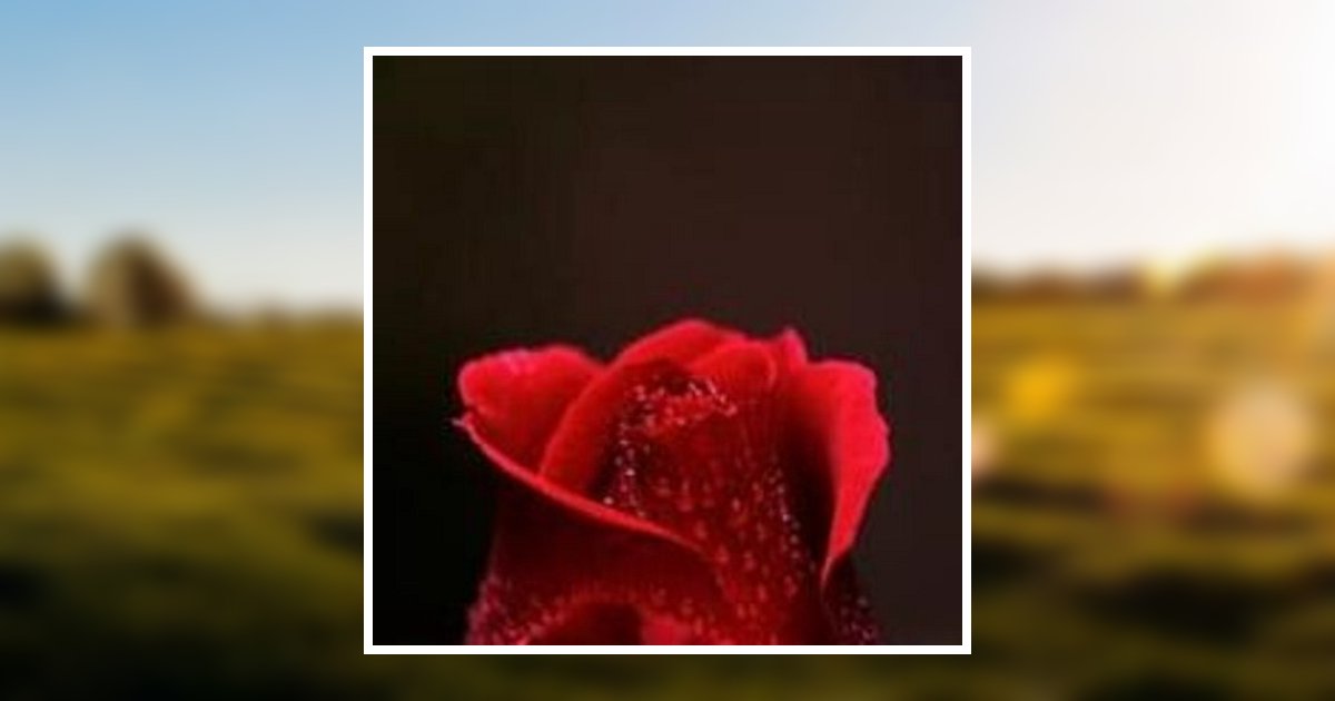 Mr. ANDREW PAUL GALLINA Obituary 2018 - Robertson Mueller Harper