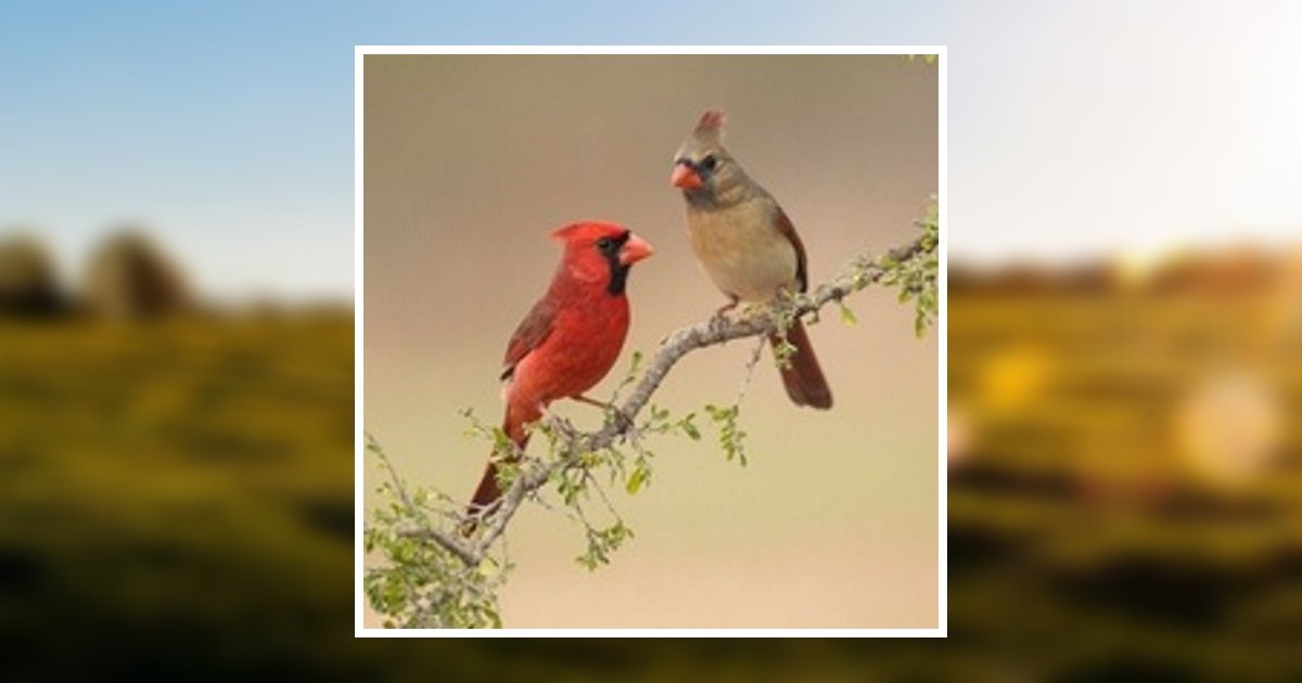 Marian Anna Beggan Daubenmeyer Obituary September 16, 2023 - Twohig ...