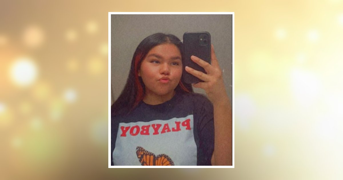 Devina Jessie Rose Whiskers Obituary July 7, 2024 - Ertel Funeral Home