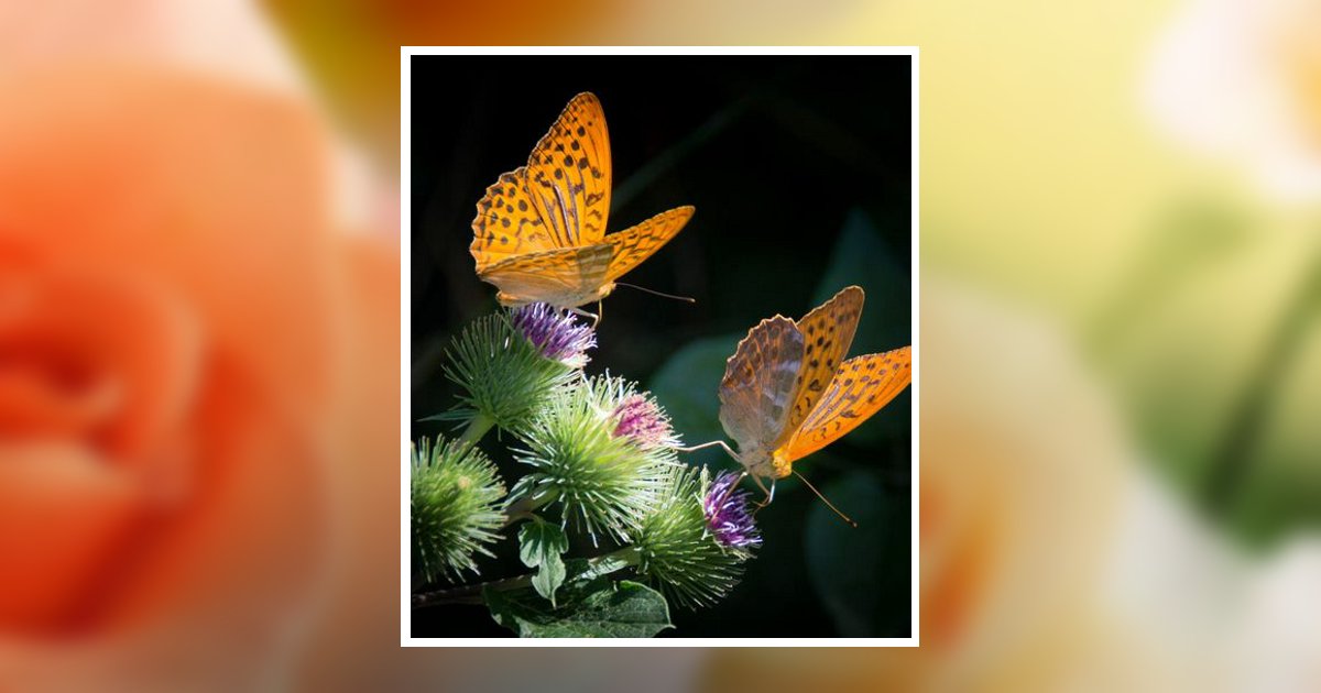 Jennifer Piatt Obituary December 4, 2023 - Taylor Theller