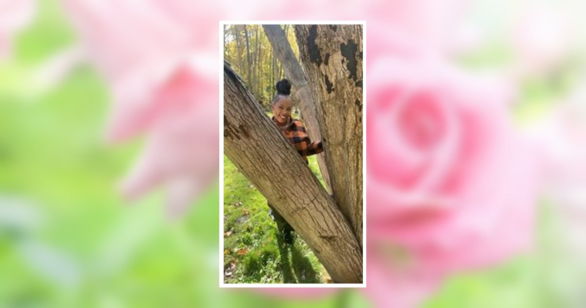 Kimberly Renee Brown Obituary July 11, 2024 - New Comer Rochester