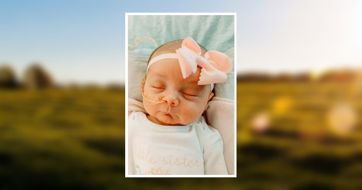 Julia Maxie Jeane Obituary April 20, 2022 - Johnson Funeral Home