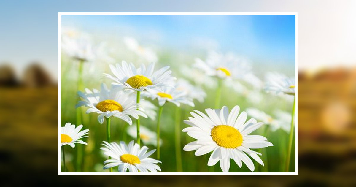 Clarence Wayne Emmons Obituary February 3, 2012 - Hudson Funeral Home ...