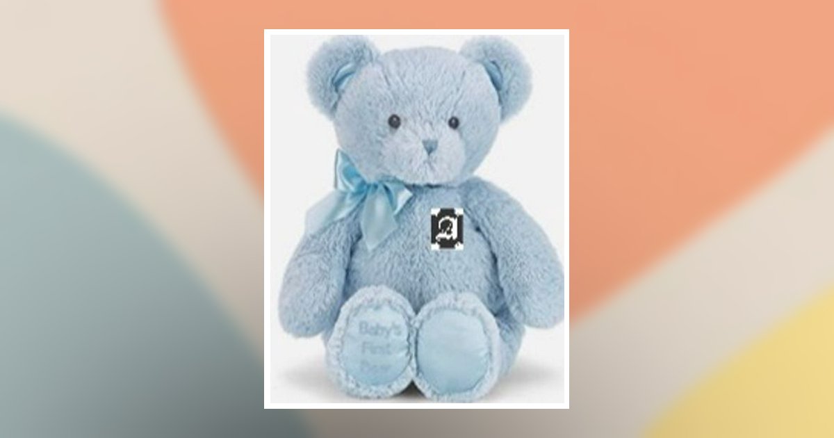 Infant Kaiden Davis Obituary August 19, 2023 - Adams Funeral Services