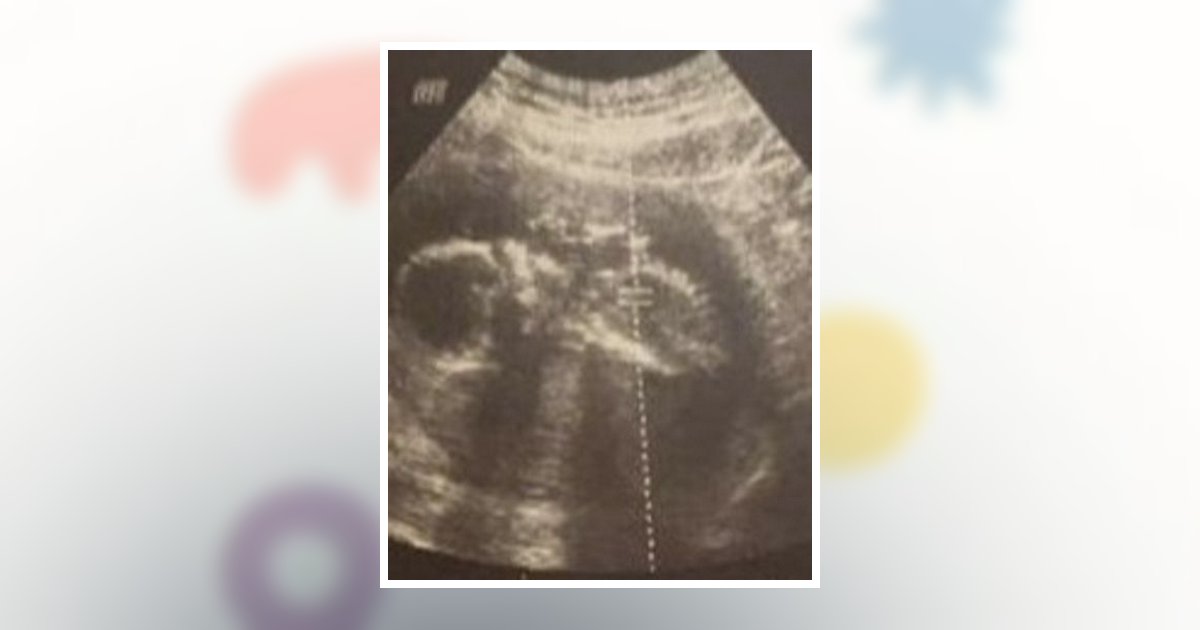 Master Greyson David Walsh Obituary June 20, 2024 - Miller Rivers ...