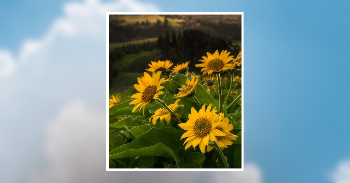 John Gilbert Rice Obituary November 2, 2023 - Golden Gate Funeral ...