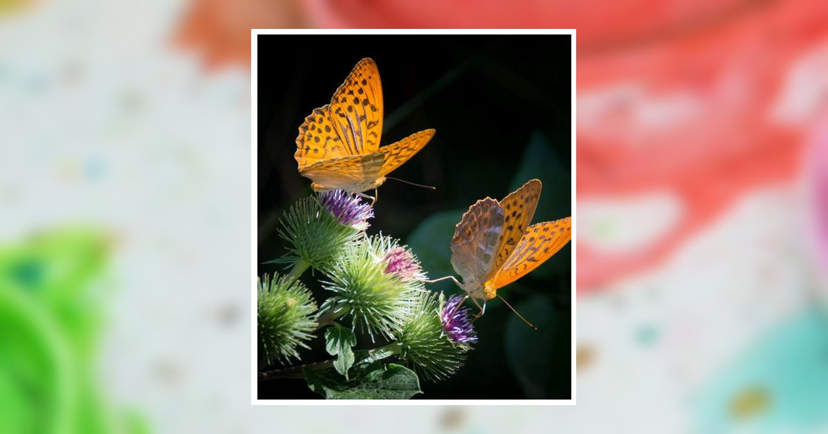 Valerie Kristen Kay Alsup Obituary August 26, 2023 - Golden Gate ...