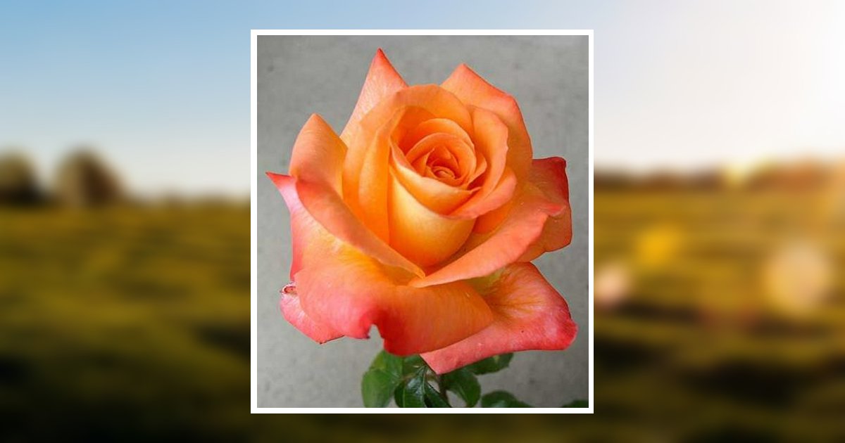 George Alice Bateman Obituary - Harry McKneely & Son