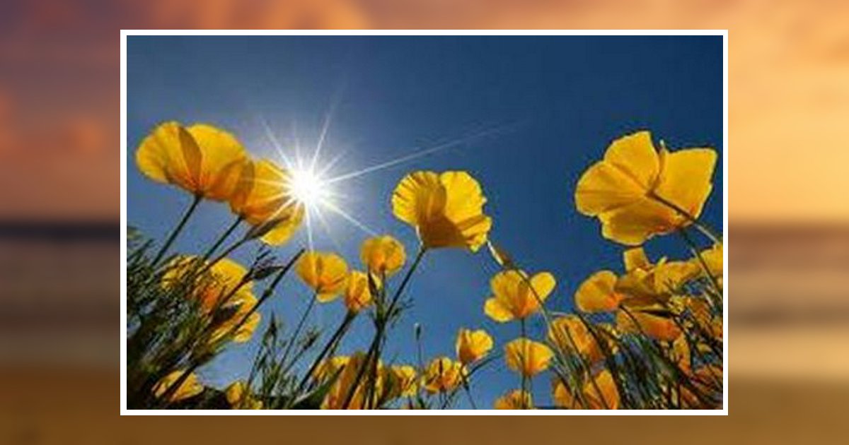 Charlotte Elizabeth Clouse Obituary February 26, 2016 - Sheldon Funeral ...