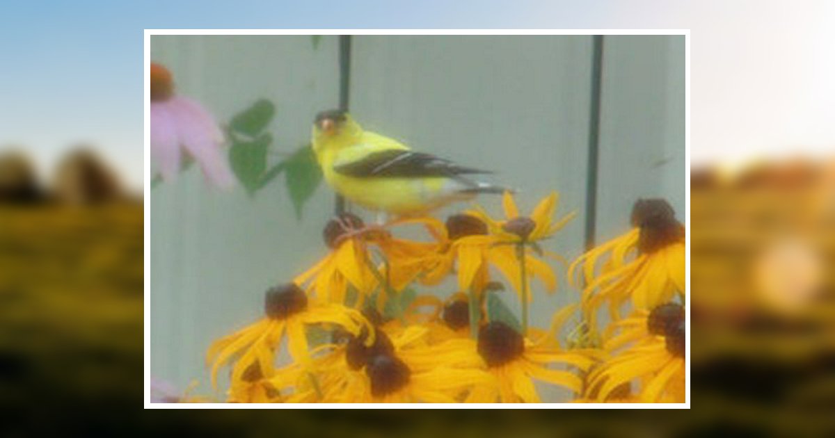 Alvin Adams Obituary - Wareing Cremation Services