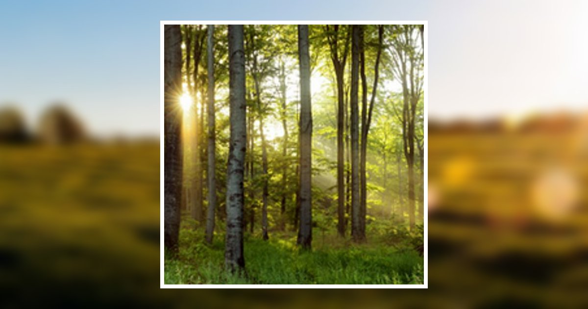 Anthony I. Palazzo Jr. Obituary February 3, 2021 - E.P. Mahar & Son ...