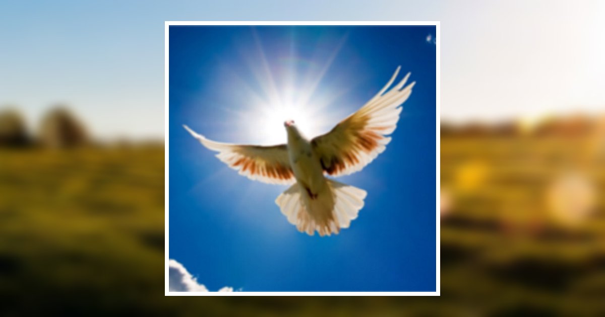 Kuilin Li Obituary April 27, 2016 - Thomas Miller Mortuary