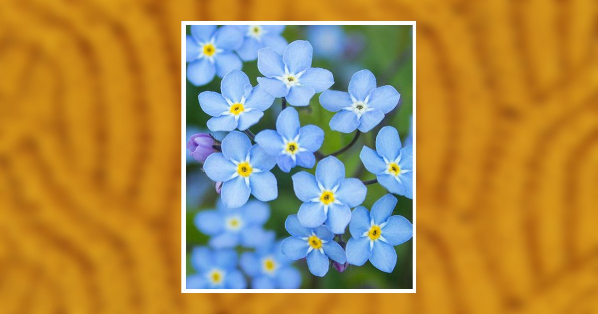 Regina Elizabeth SIMMS Obituary February 18, 2010 - Olney Foust Funeral ...