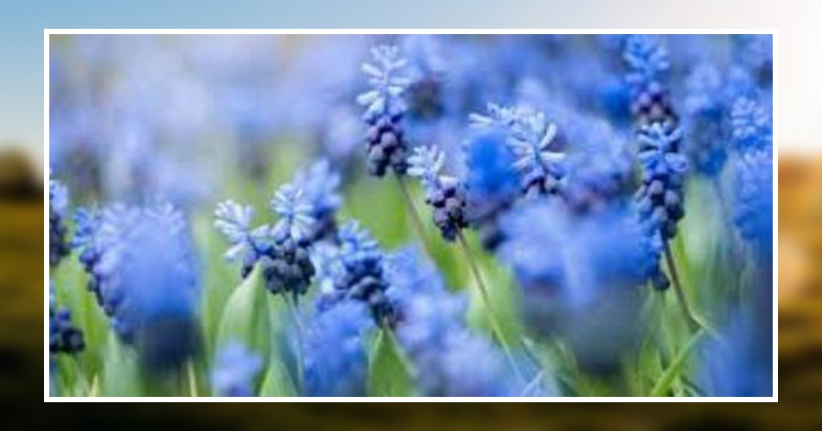 Ruby Garrett Obituary February 18, 2022 - Coile and Hall Funeral Directors