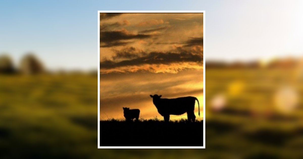 Sam Beletso Jones Obituary November 12, 2020 - Ertel Funeral Home