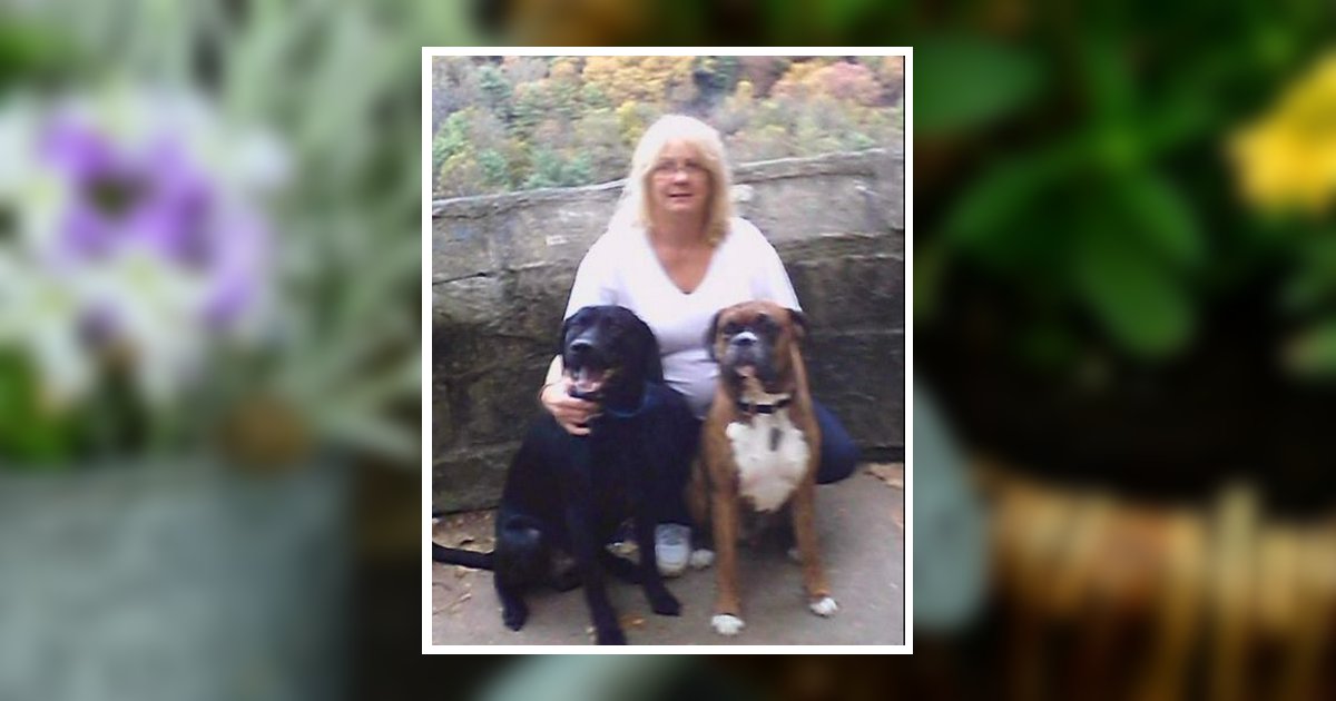 Darla Cook Obituary January 19, 2025 - Chamberlain Huckeriede Funeral Home