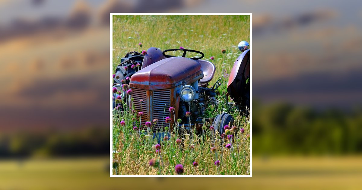 David Larry Copas Obituary January 18, 2025 - Hamlett-Dobson Funeral Homes