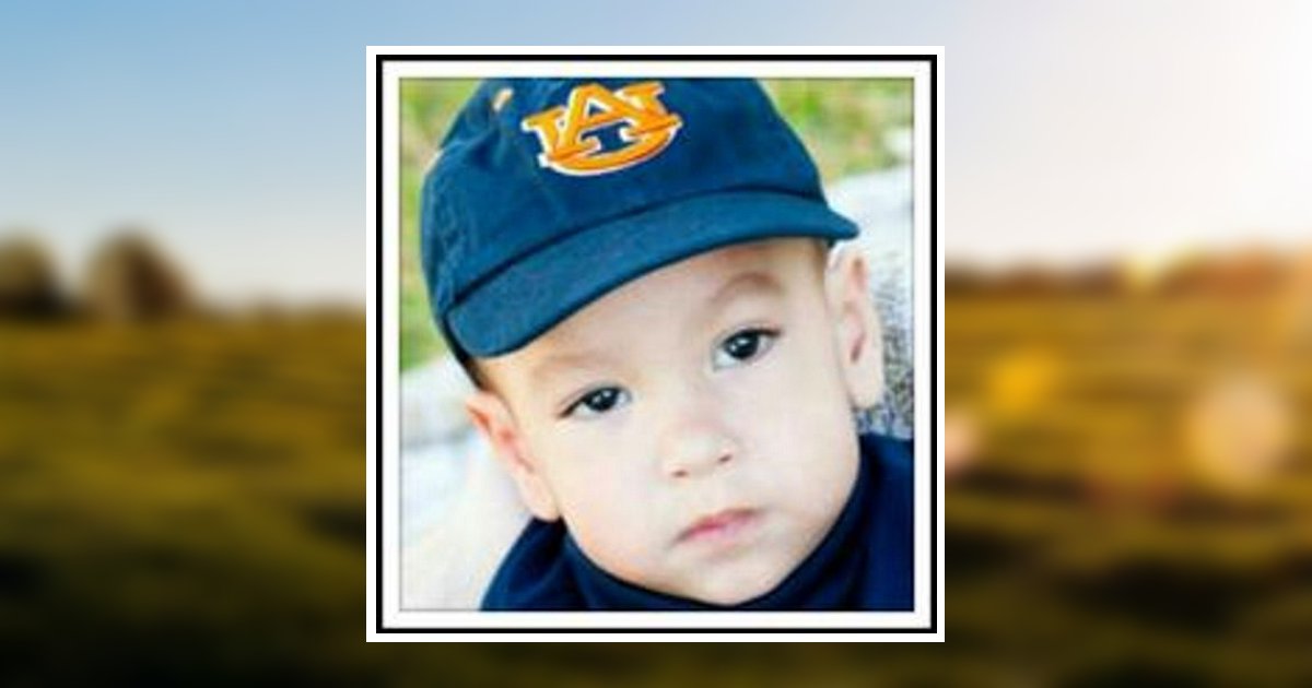 Joshua Lee Lollar, Jr. Obituary June 24, 2013 - Freeman Funeral Home