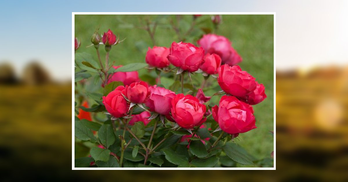 Rita A. Hurd Obituary May 1, 2022 - Sample-O'Donnell Funeral Home