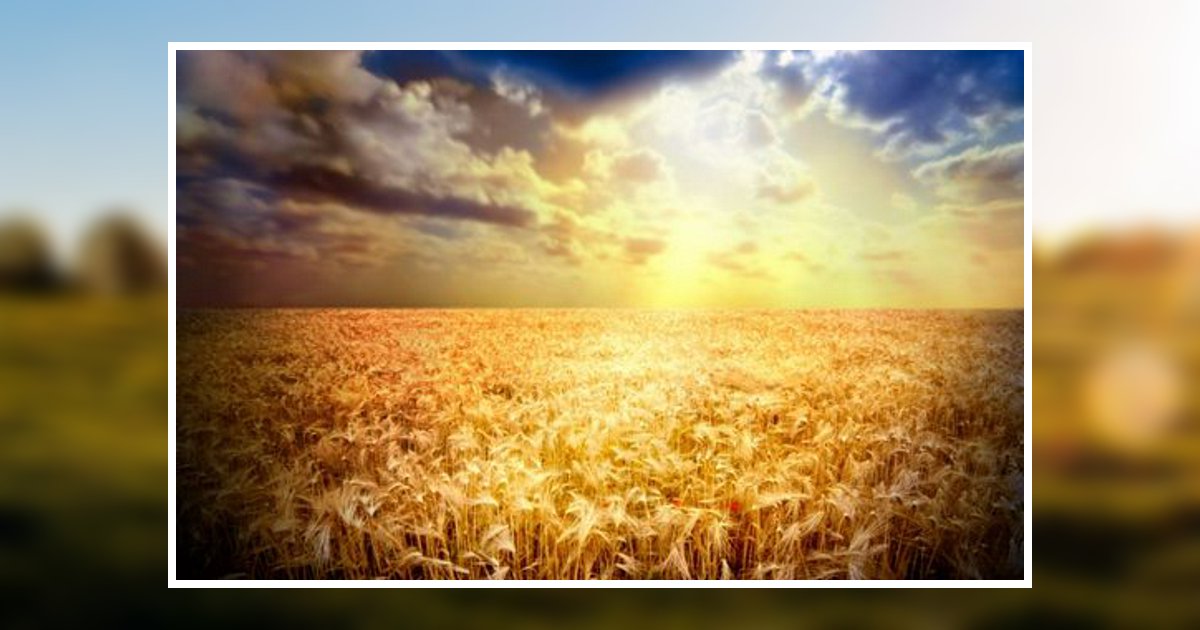 Shelly Larson Obituary November 14, 2017 - Anderson Funeral Home and ...