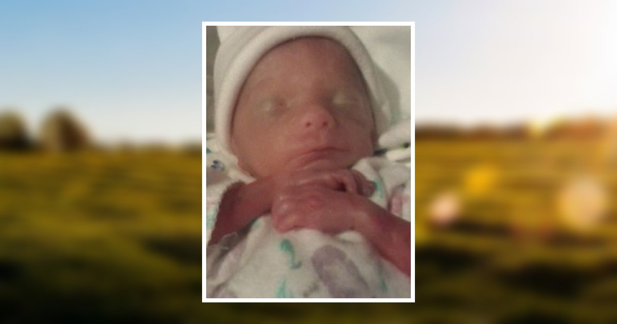 Caden Williams Obituary February 14, 2013 - Adams-Reed Funeral Home