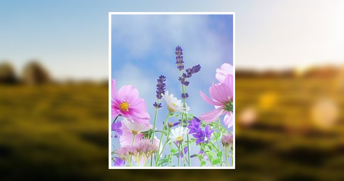 Brenda Lee (Johnson) Mccollum Obituary November 21, 2019 - Gerald W ...