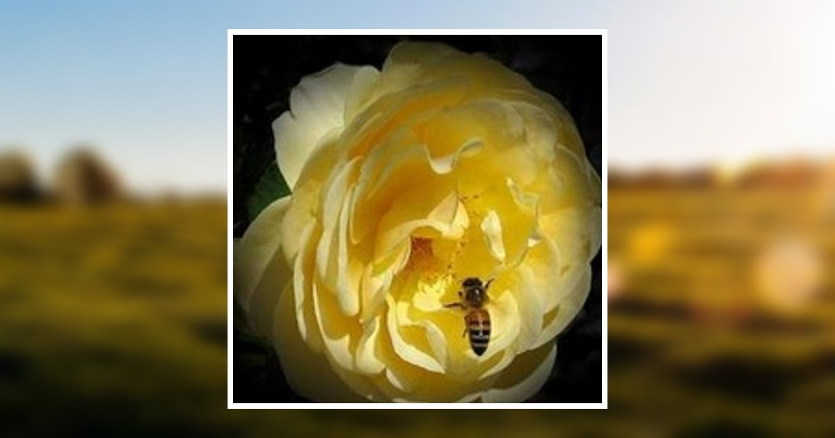 Richard Edward Holtz Obituary January 31, 2016 - Mark C. Tilghman ...