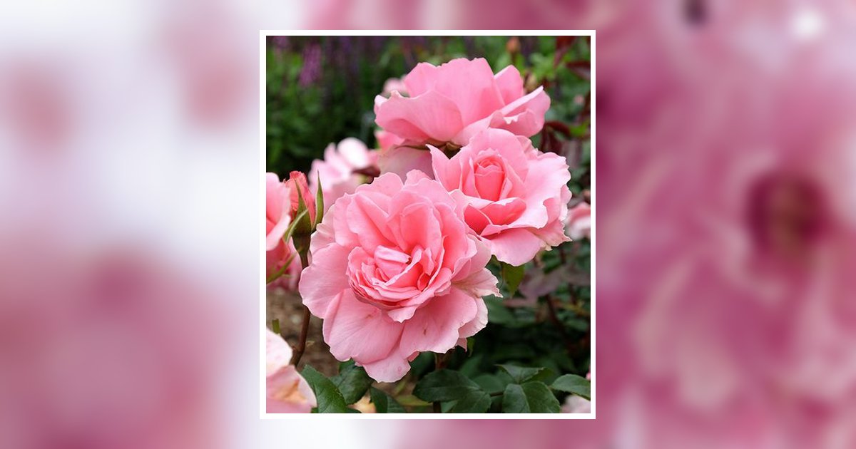 Tisha Jones Obituary April 30, 2025 - Low Country Cremation & Burial ...