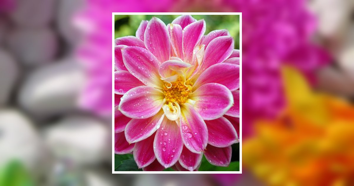 Theresa Skinner Obituary July 21, 2016 - Sharp Funeral Homes