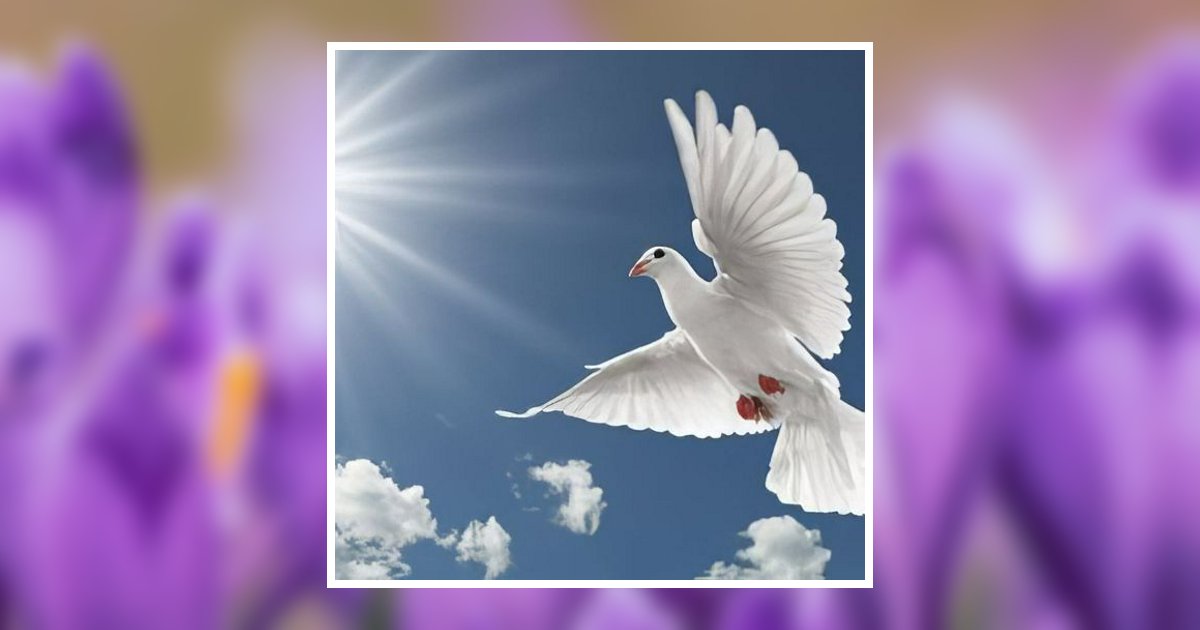 Elizabeth A. Lewandowski Obituary March 2, 2013 - New Comer Buffalo