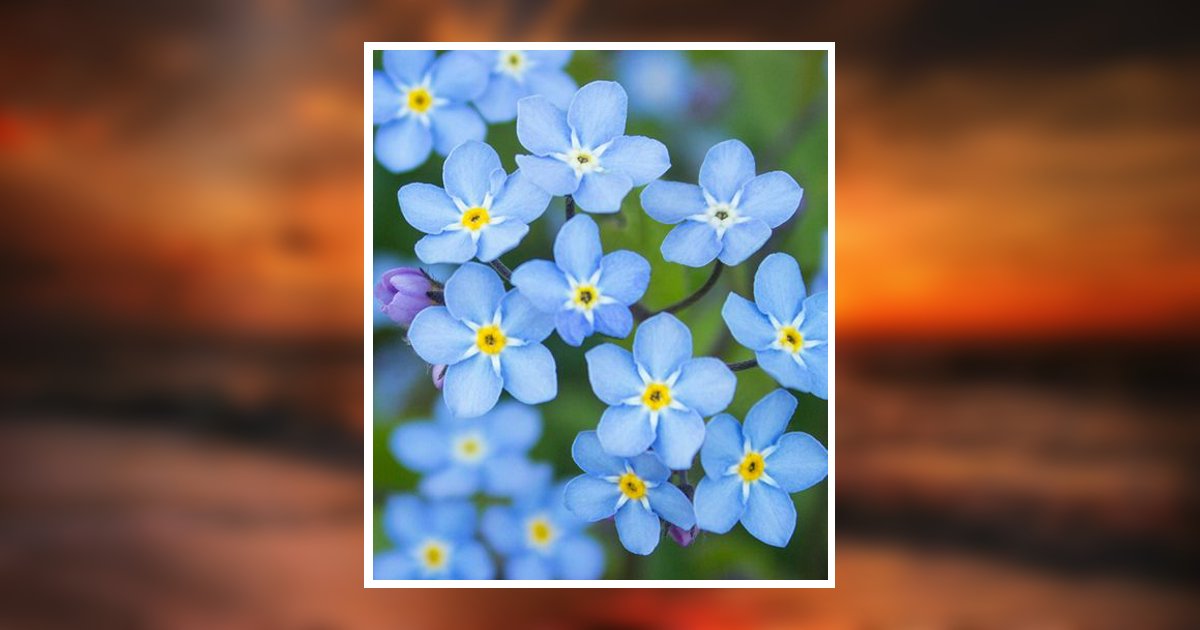 Edward N. Martin Obituary December 22, 2025 - Groff-High-Eckenroth ...