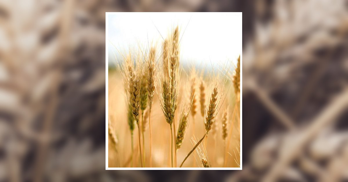 Kenny Carr Obituary April 19, 2025 - Memorial Funeral Home & Crematory