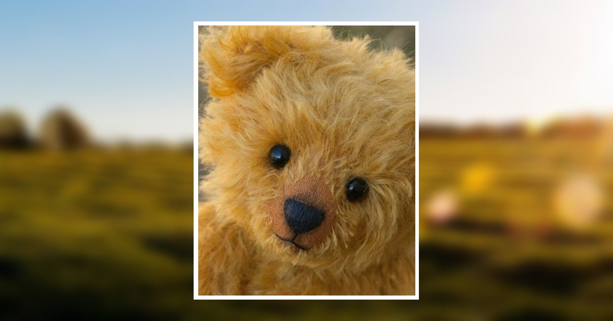 Cassidy Marie Detamore Obituary 2024 - Raven Choate Robinson Funeral Home