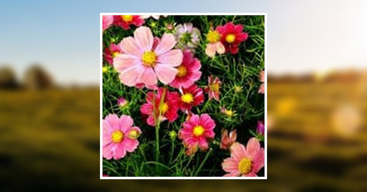 Helen Parham Obituary February 22, 2020 - E. E. Pickle Funeral Home