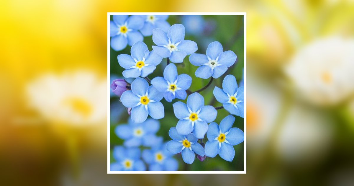 Angela Fath Obituary May 29, 2025 - Hodapp Funeral Homes