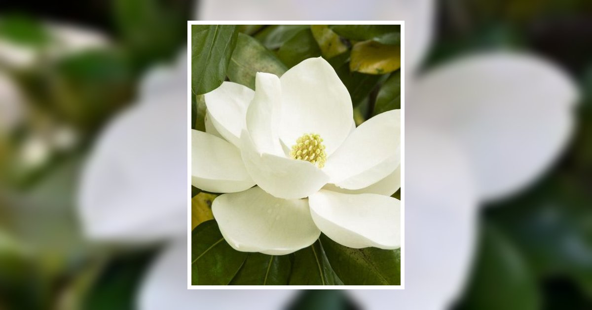 Suzanne Ritchie Cuesta Obituary September 3, 2023 - Riemann Family ...